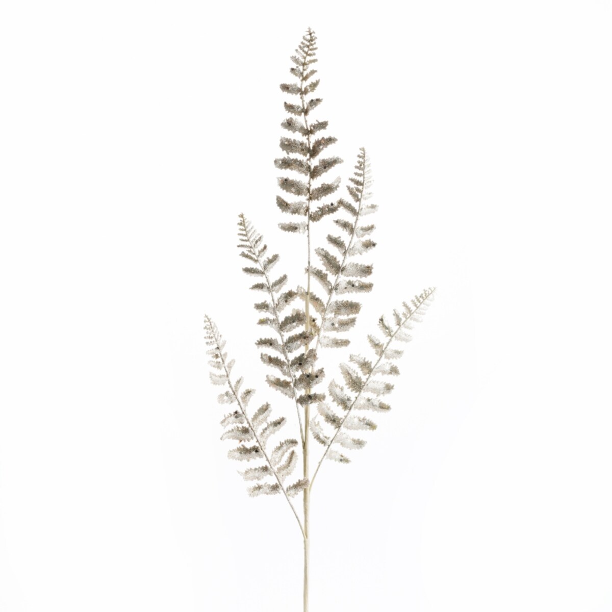 Patyk Fern | home-you.com