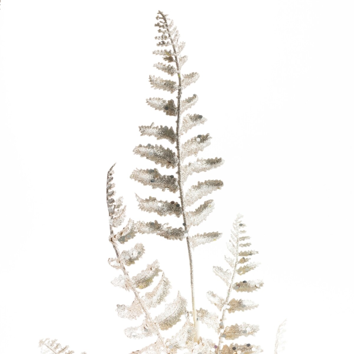 Patyk Fern | home-you.com