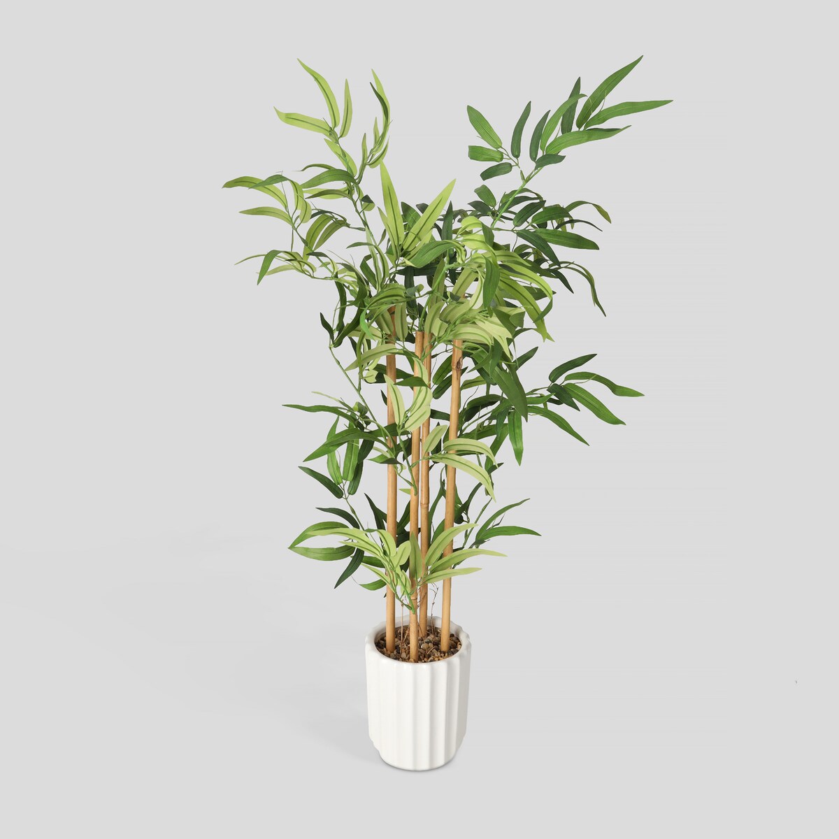 Stroik Ventrico | home&you