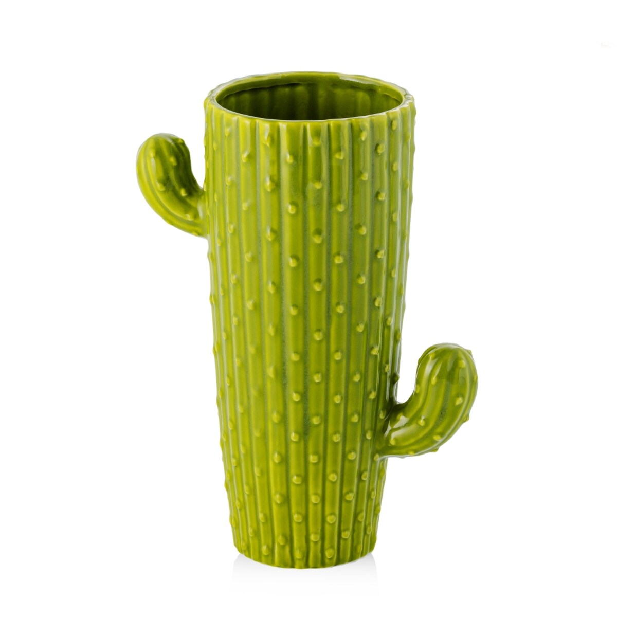 Wazon Cactus | home-you.com