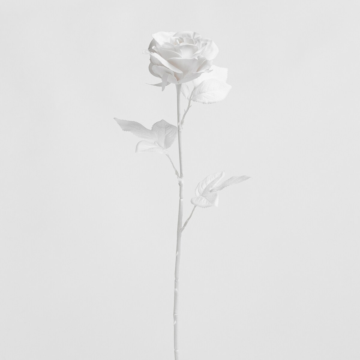 Kwiat Rossart | home-you.com