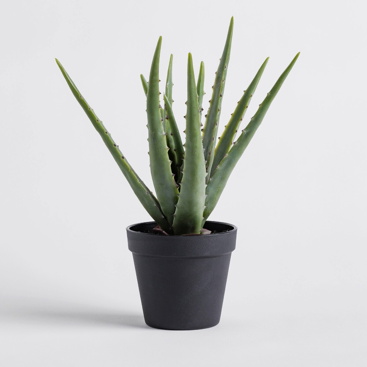 Stroik Verasi | home&you