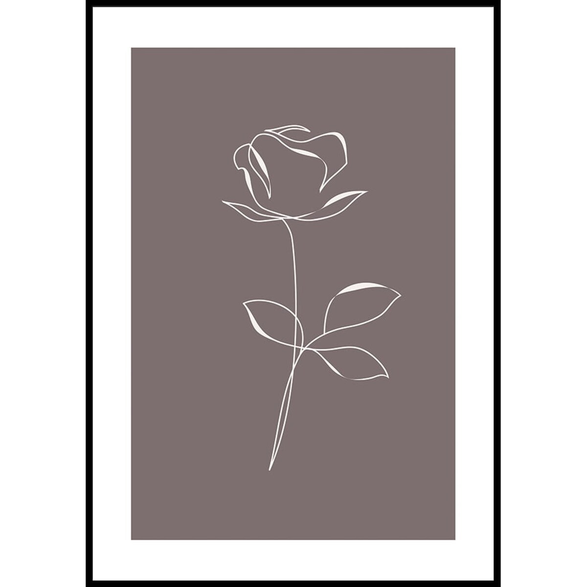 plakat line art róża 2 50x70 cm | home&you