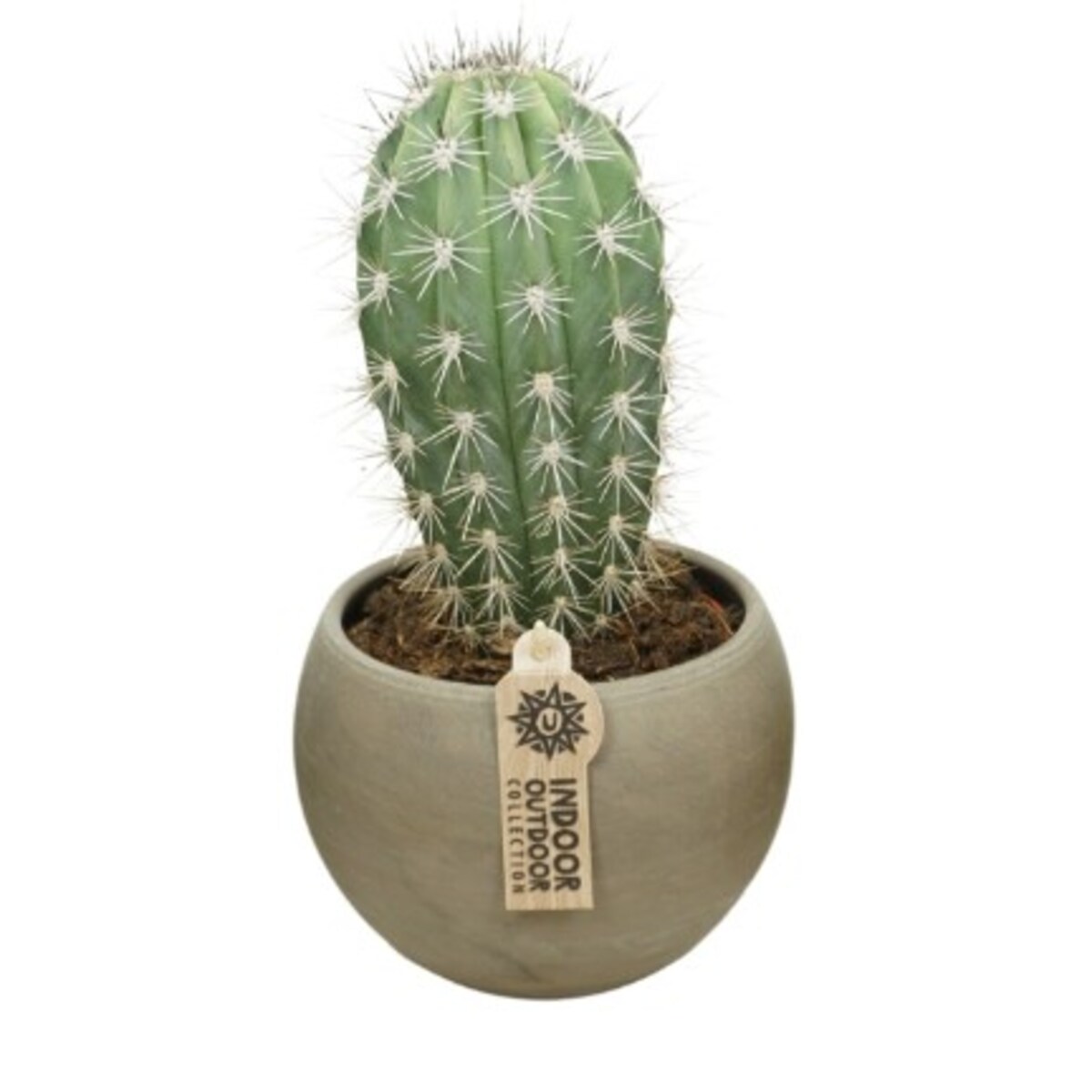 Cactus XXL– ceramiczna doniczka kula Ø 17 cm – wys. 26 cm | home&you