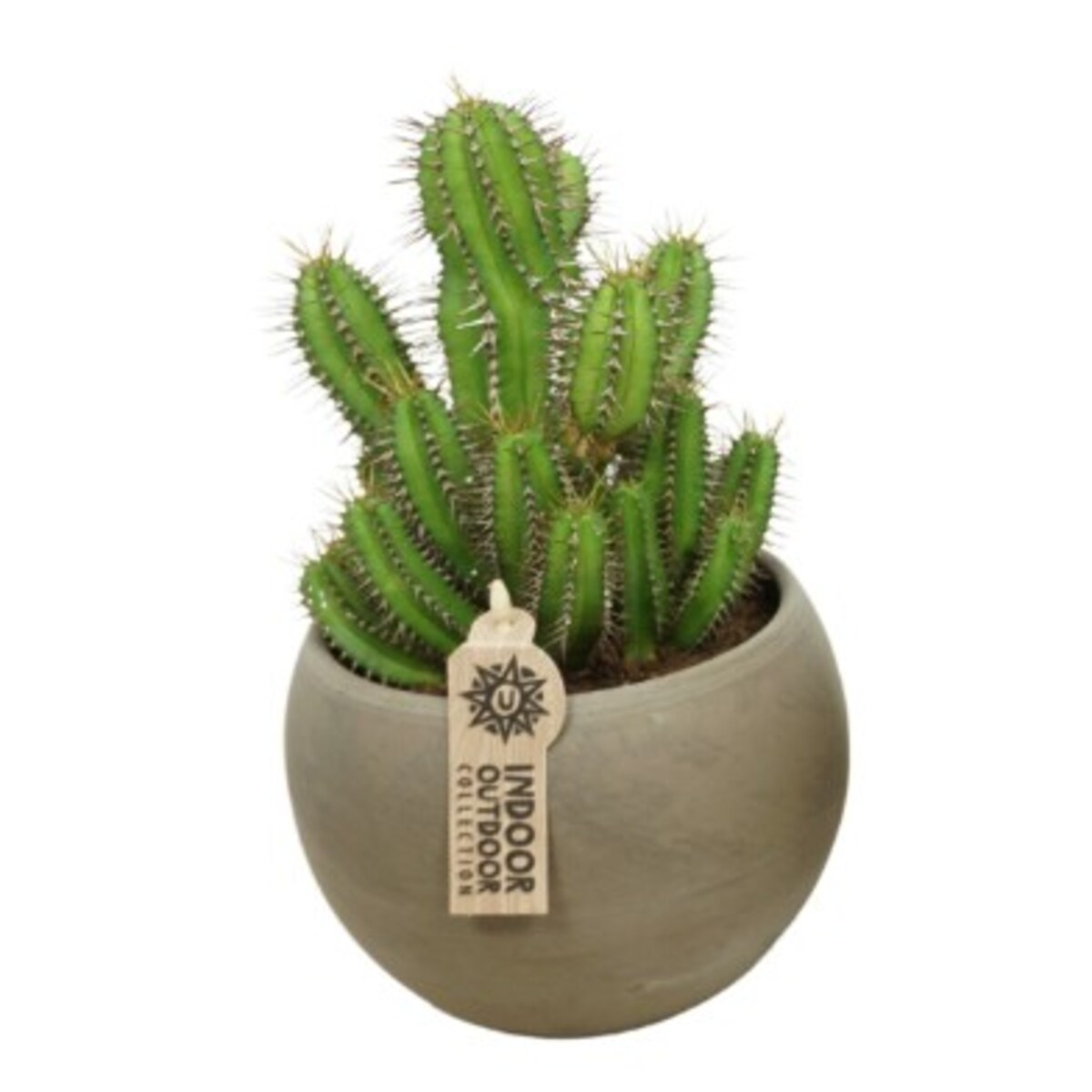 Cactus XXL– ceramiczna doniczka kula Ø 17 cm – wys. 26 cm | home&you