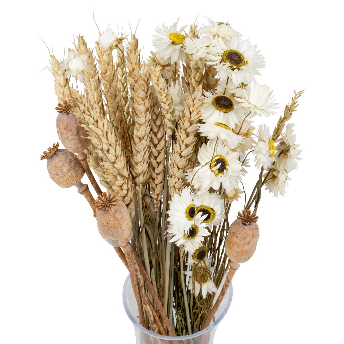 Zestaw suszonych kwiatów do wazonu Poppy roz. S - makówka, suchlin ...