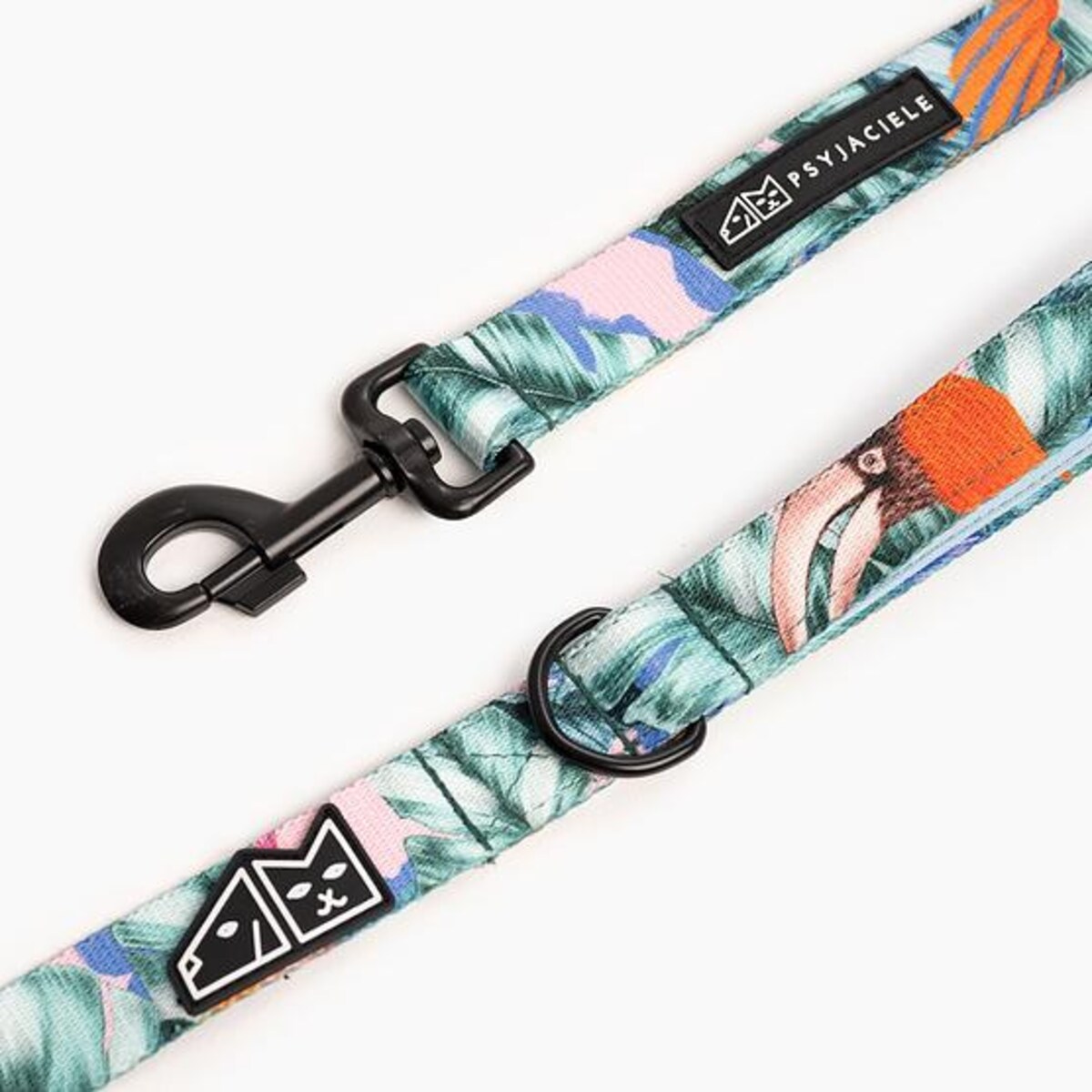 Smycz miejska dla psa lub kota "Mokry sen kury" | home&you