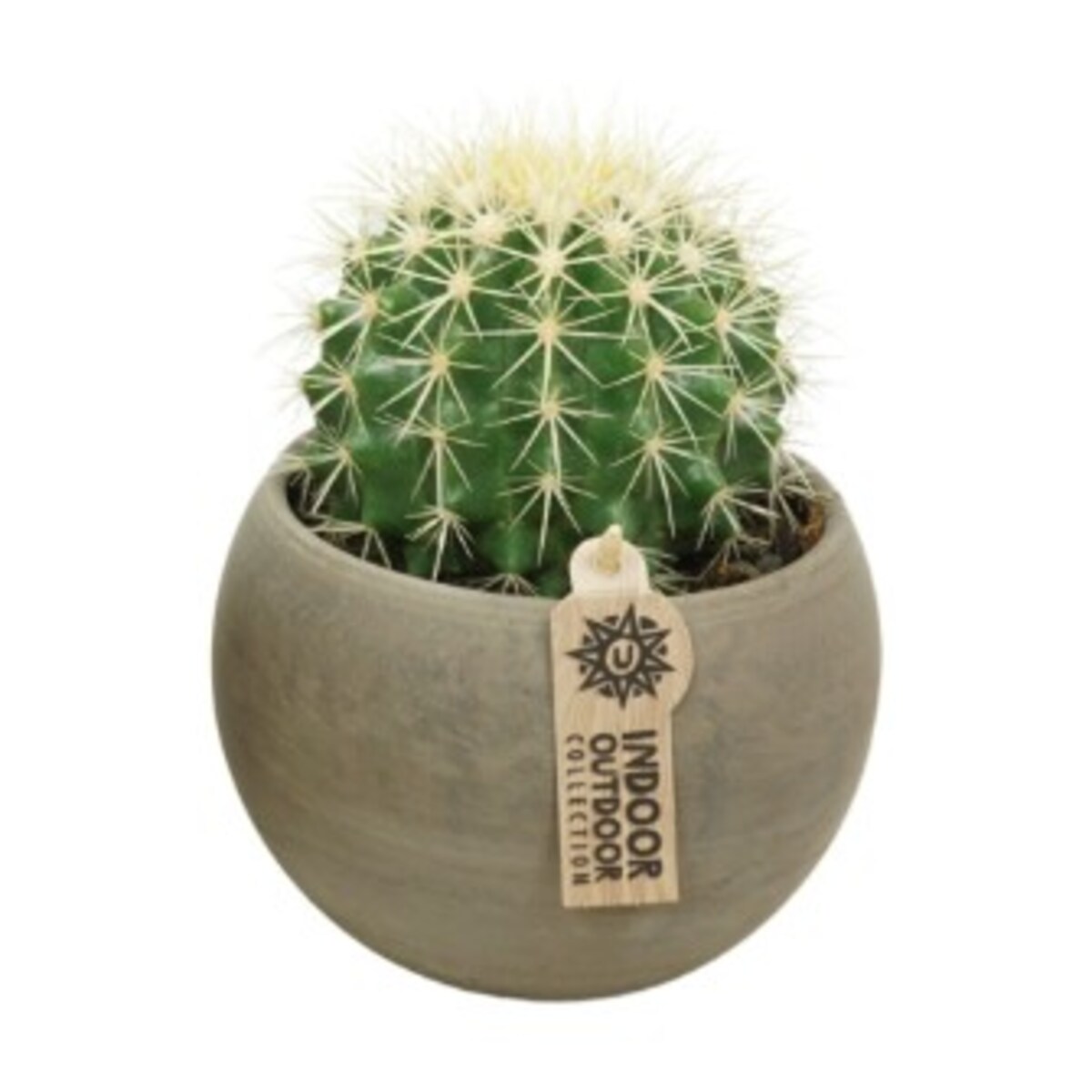 Cactus XXL– ceramiczna doniczka kula Ø 17 cm – wys. 26 cm | home&you